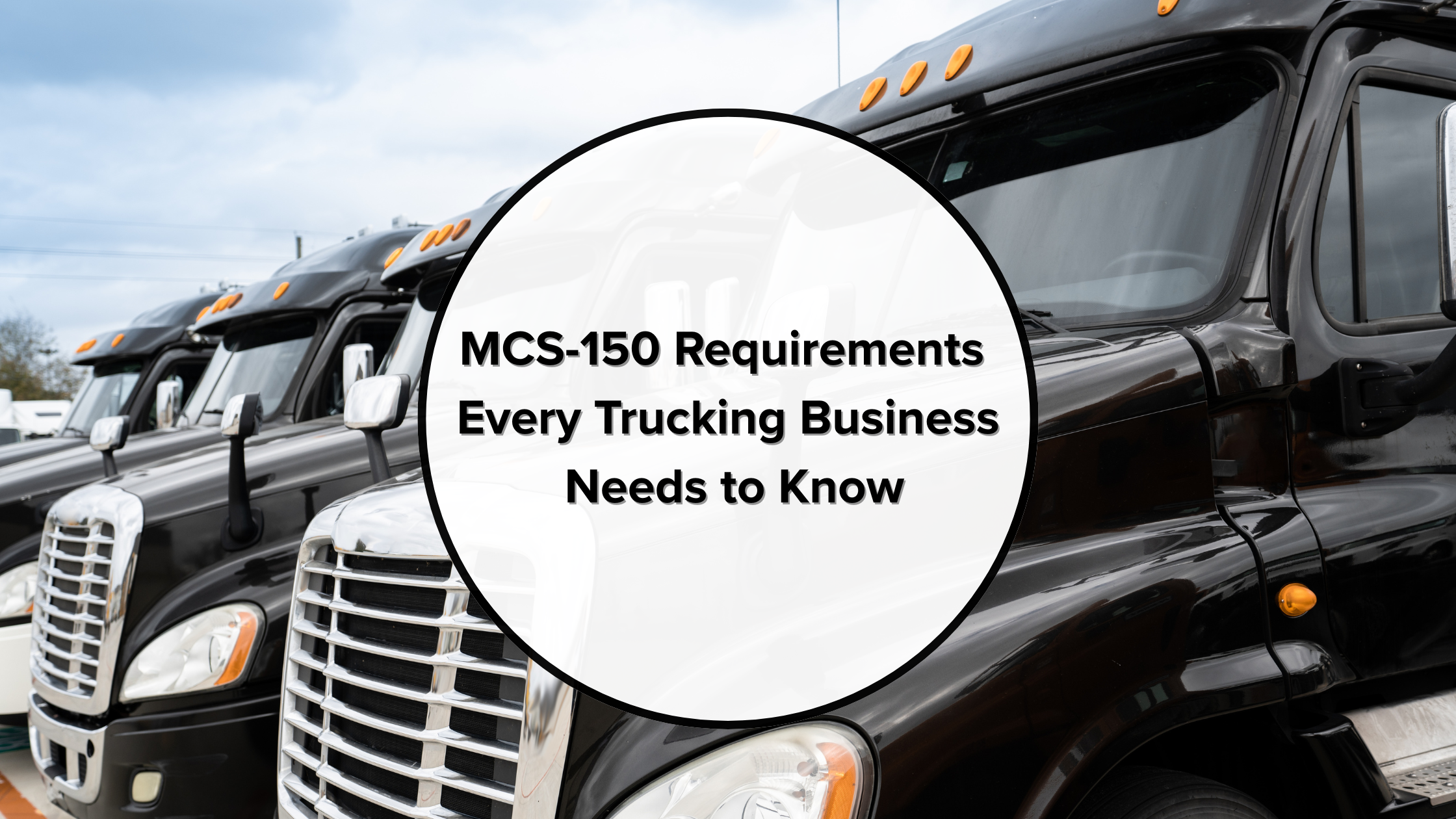MCS-150 Filing Guide for Trucking Compliance | MIG